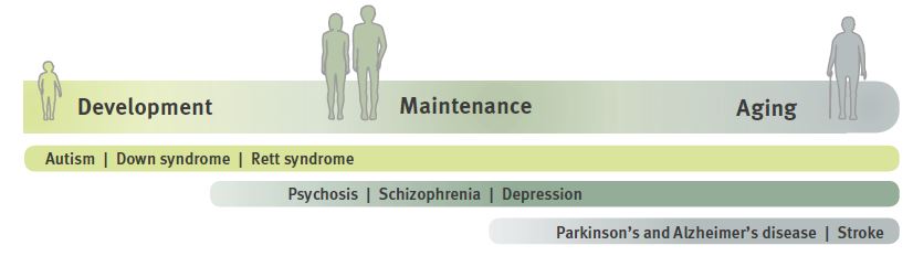 Research Areas - NeuroCure | Cluster of Excellence